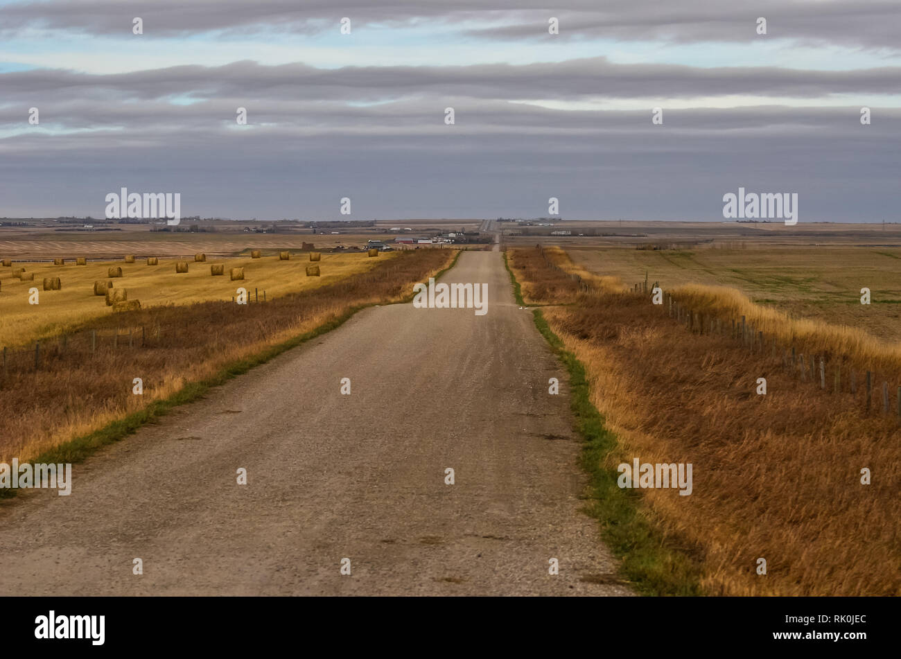 Road between two farm hi-res stock photography and images - Alamy