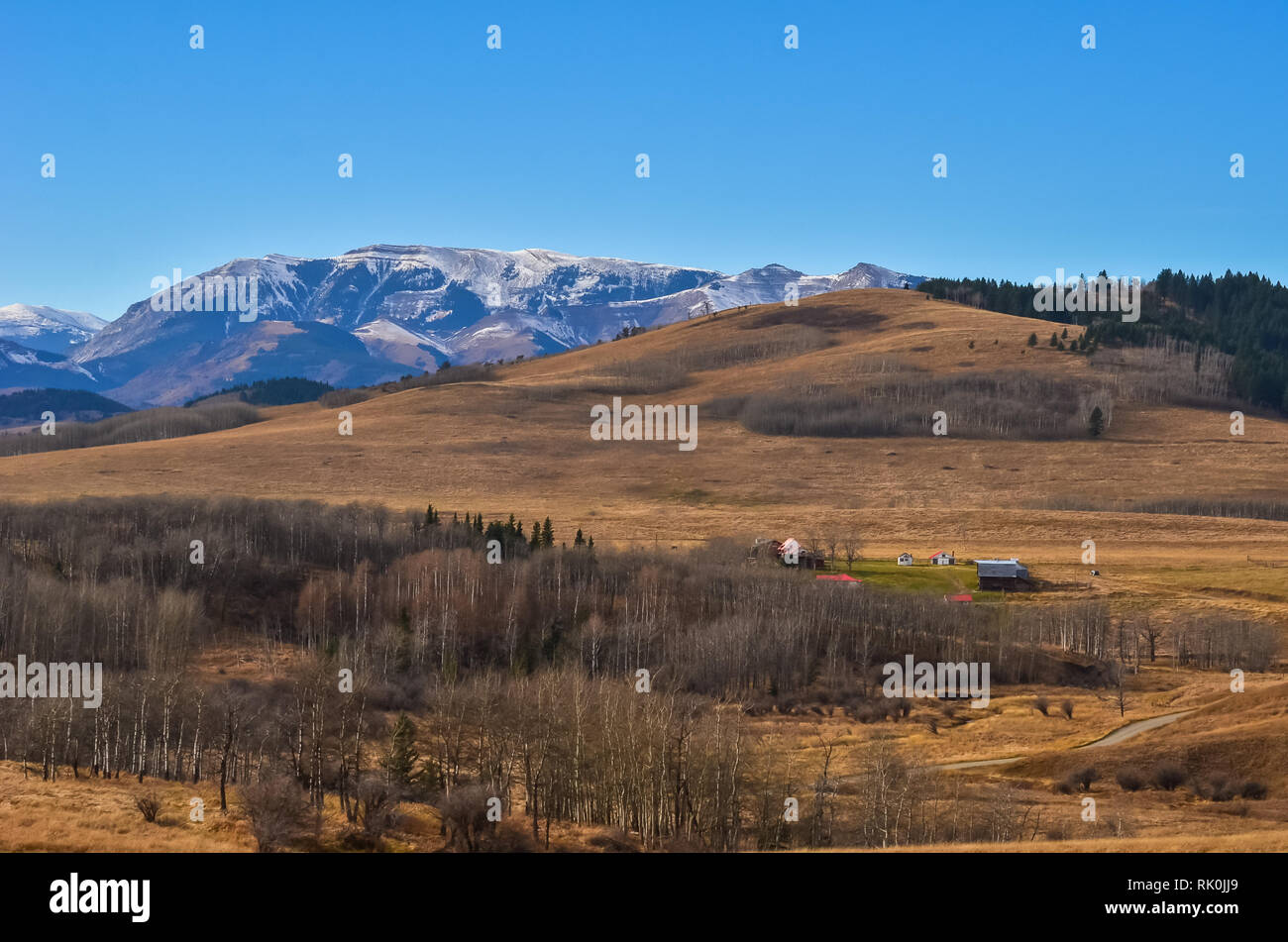 Rolling hills farm with mountains in Alberta, Canada Stock Photo - Alamy