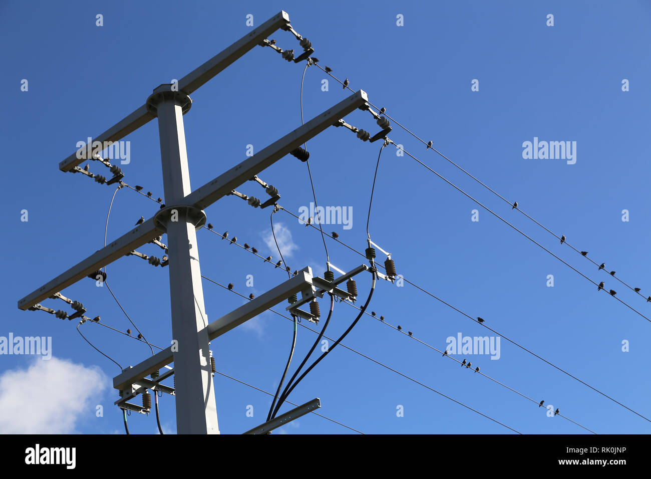Cable tier hi-res stock photography and images - Alamy