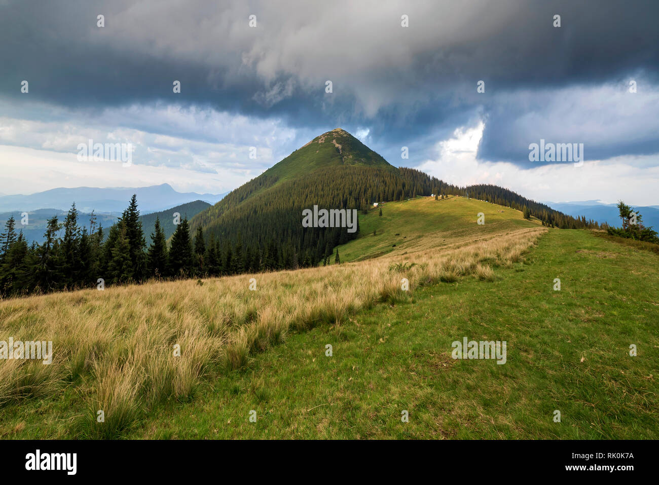 Panoramic view of green grassy valley, pine trees and rural small ...