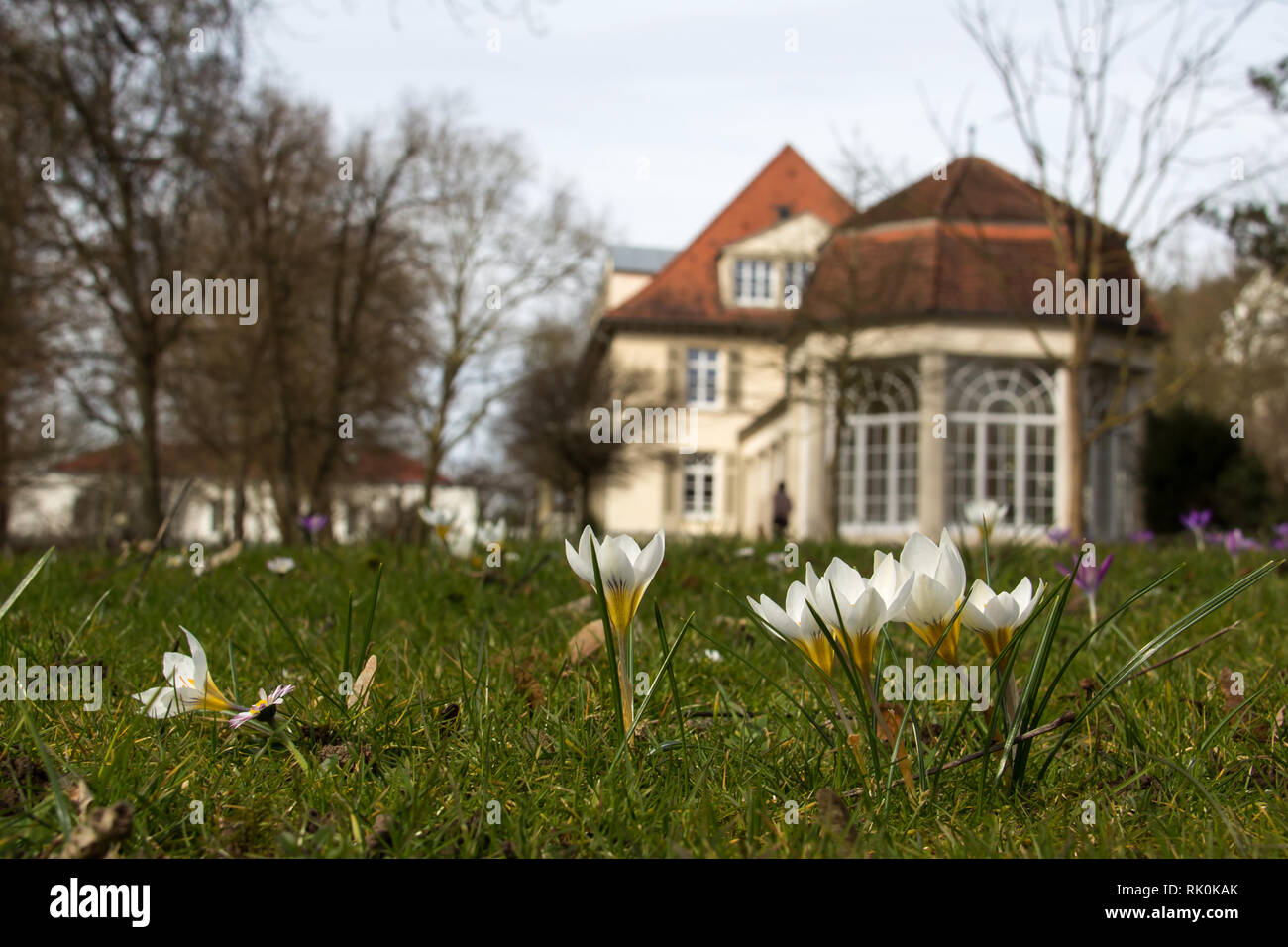 Park in spring / A park view is spring Stock Photo - Alamy