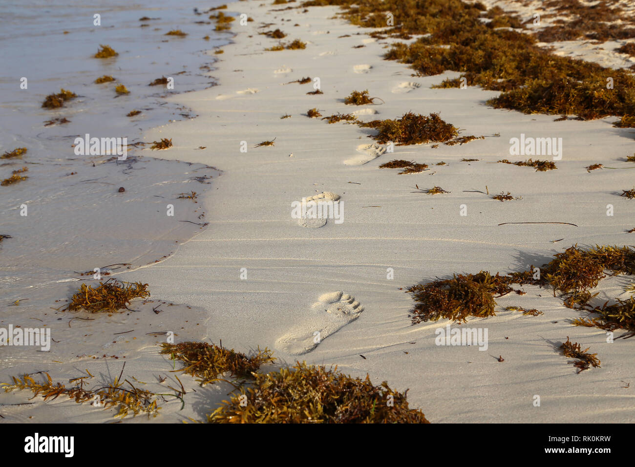 Sand beach / Sand beach background, lomo style Stock Photo - Alamy