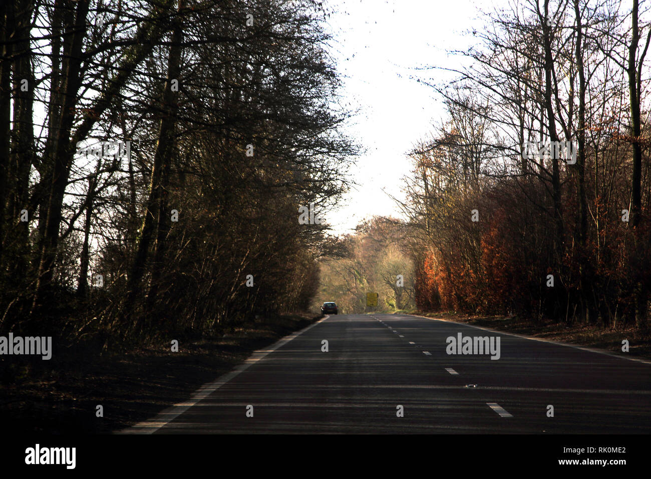 Tree Lined Trunk Road A31 Heading Towards Southampton England Stock ...