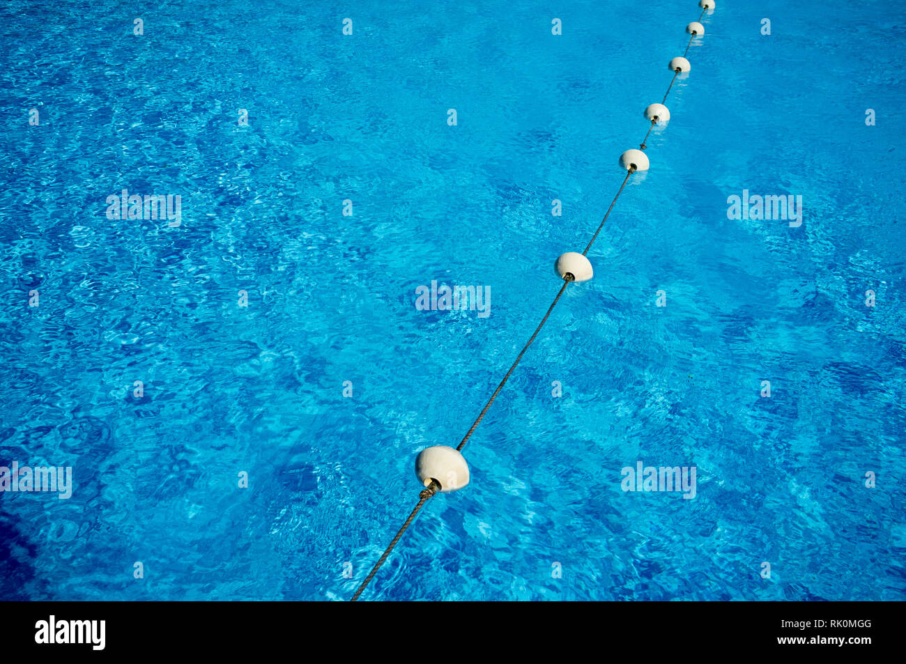 Blue water in the swimming pool, safety buoys Stock Photo - Alamy