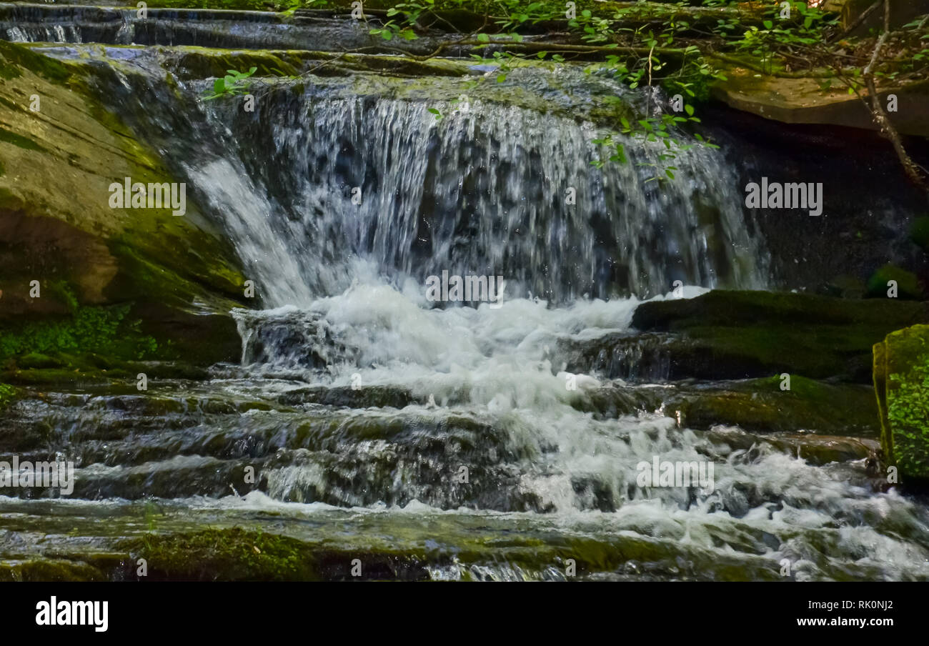 Butterfly gap creek hi-res stock photography and images - Alamy