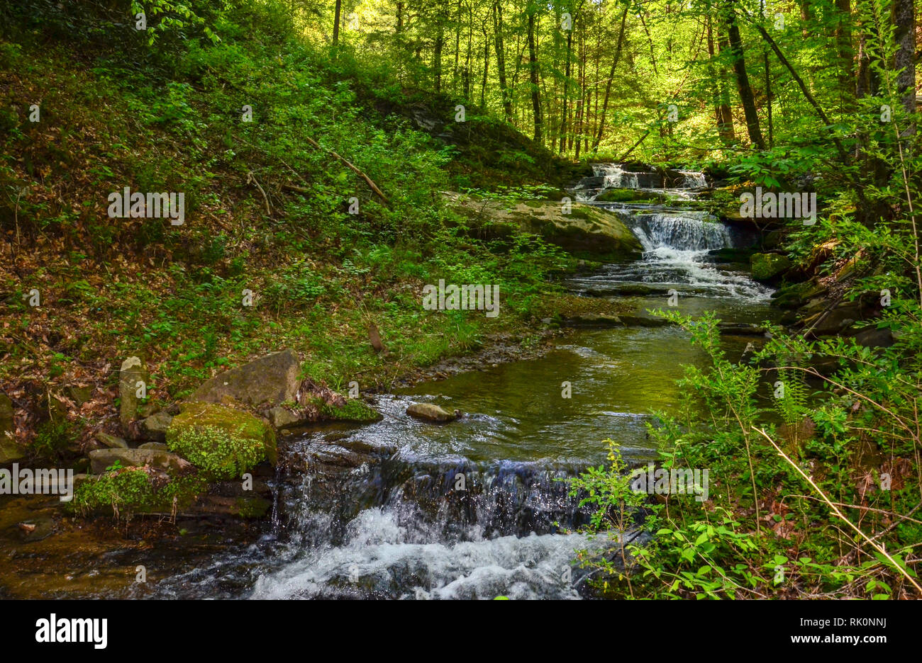 Butterfly gap creek hi-res stock photography and images - Alamy