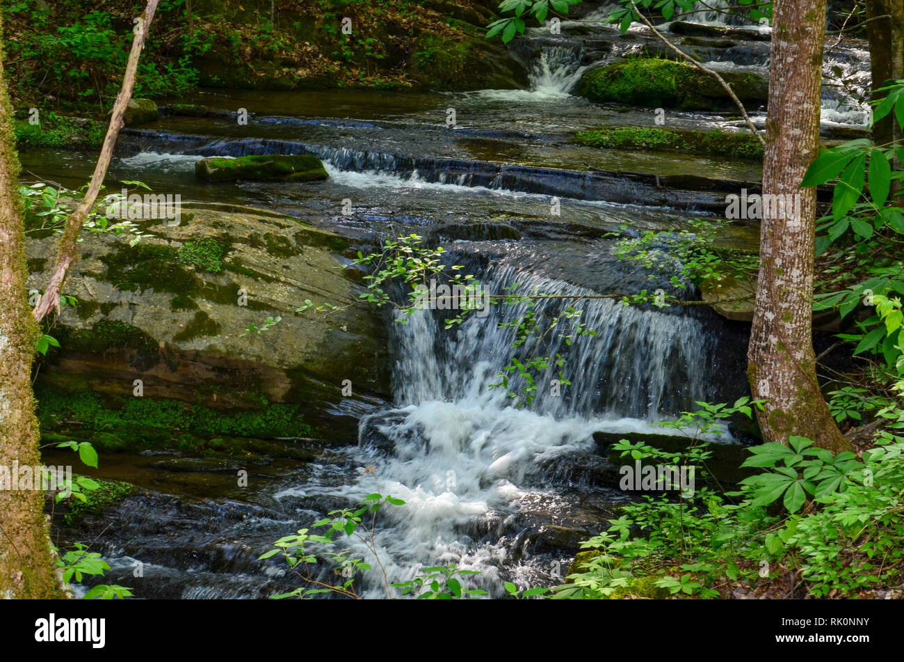 Wooded waterfalls creek Stock Photo - Alamy