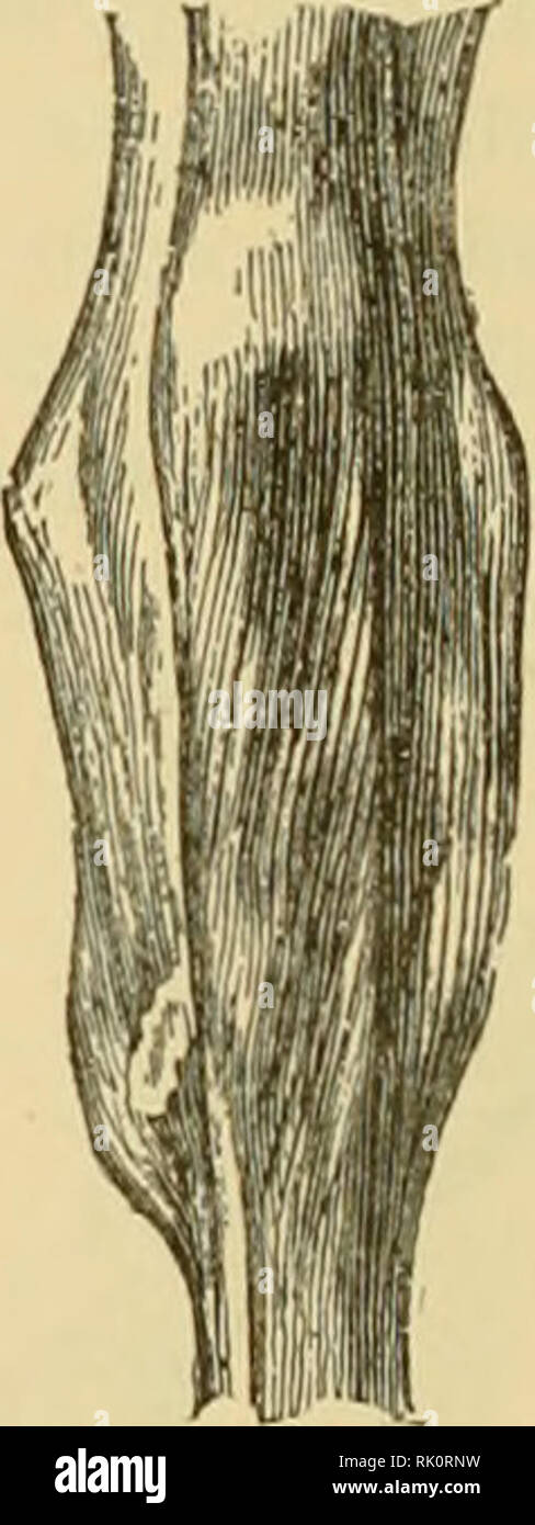 Jack hock hi-res stock photography and images - Alamy