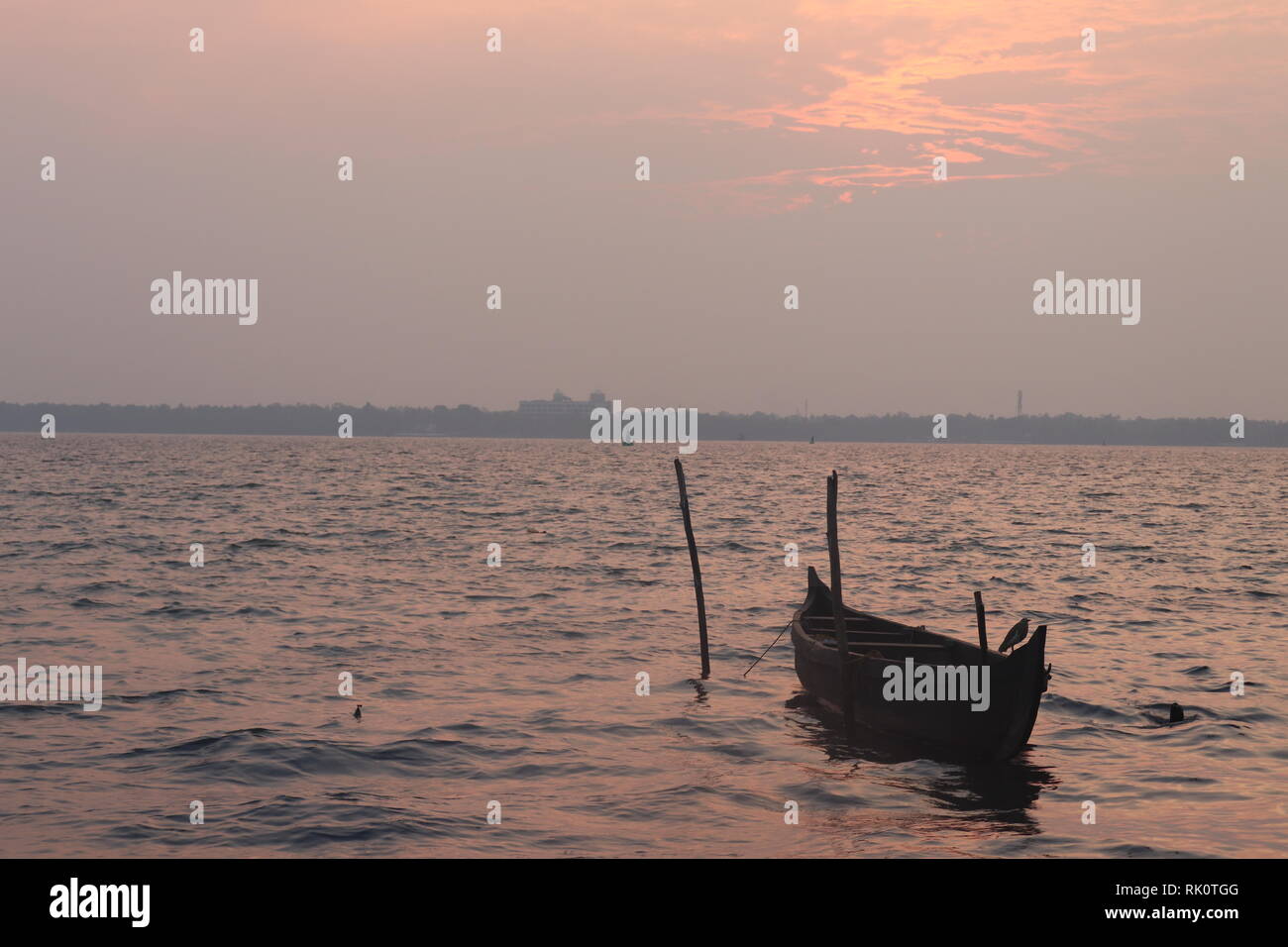 LIFE IN A SINGLE SCALE Stock Photo - Alamy