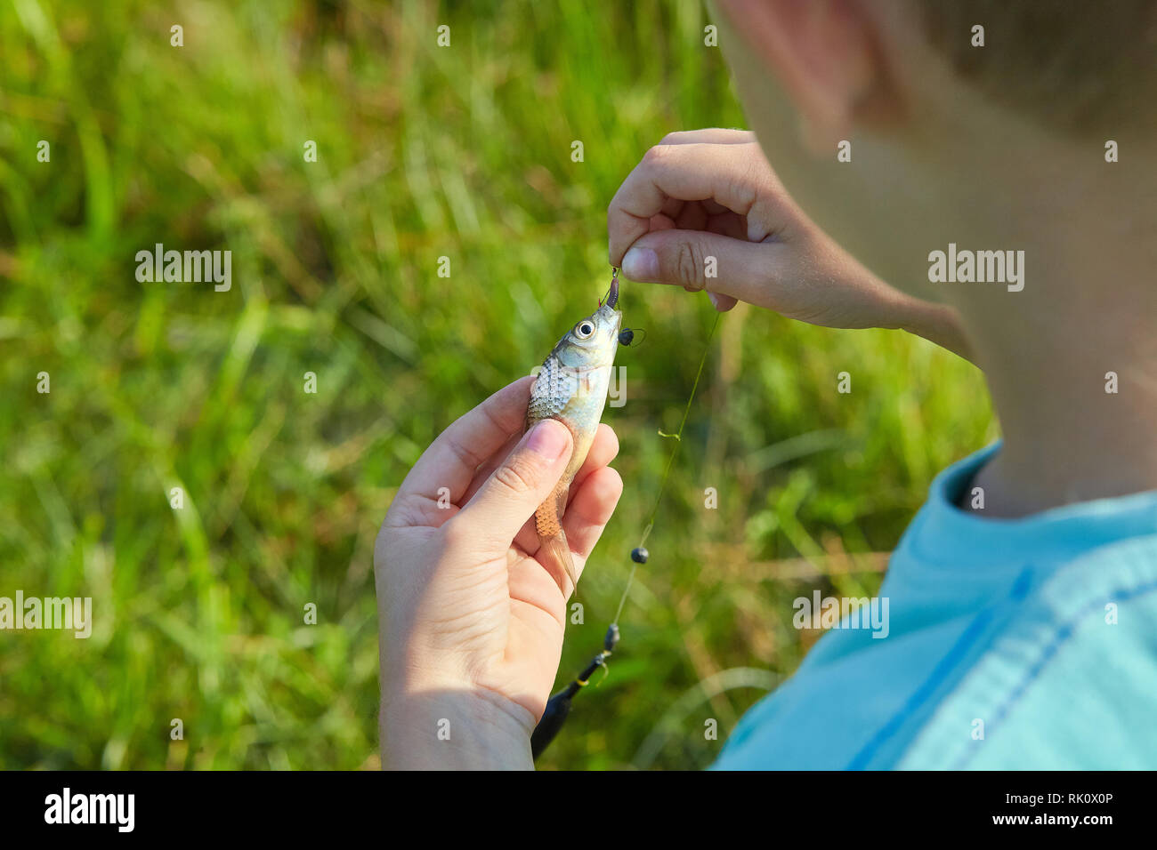 A boy holding a small fish in his hands. Fishing. Children's hobbies ...