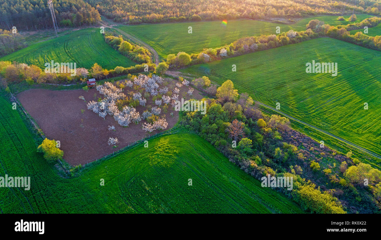 Beautiful aerial view from drone spring field with sunset sky nature ...