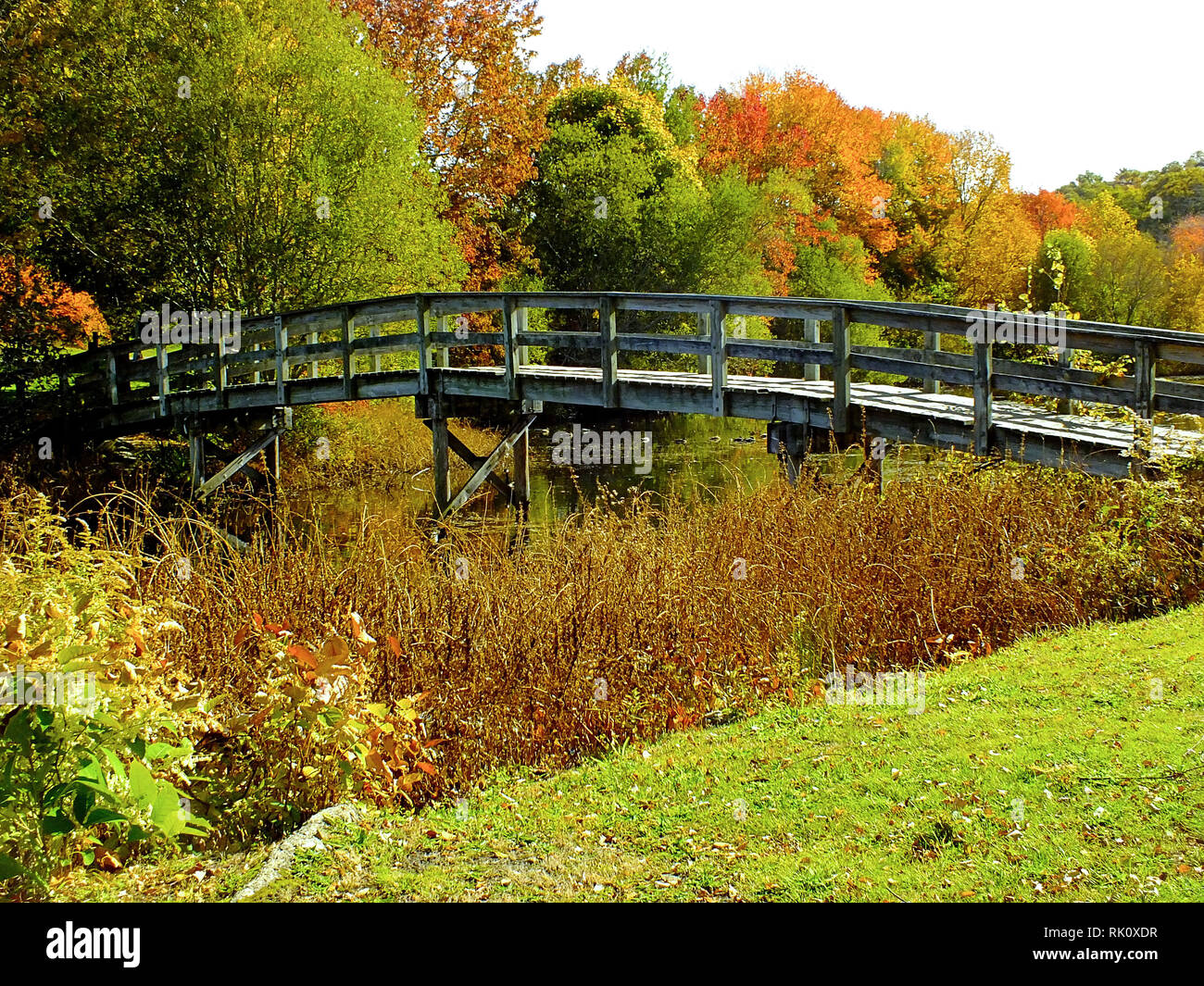 Landscape footbridge in nature hi-res stock photography and images - Alamy