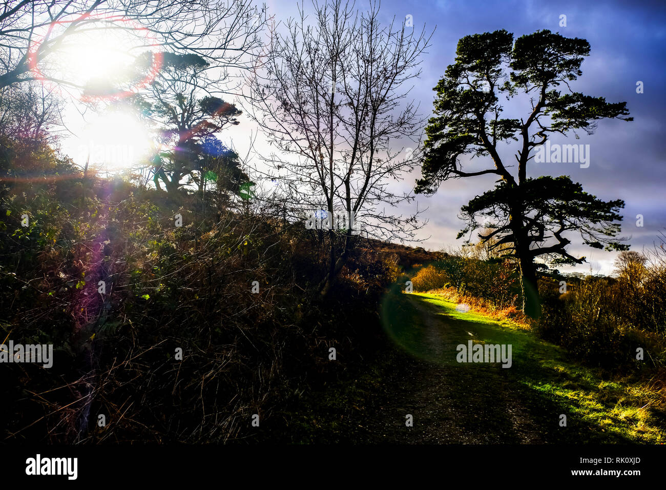 Nature and landscapes in Wales Stock Photo - Alamy