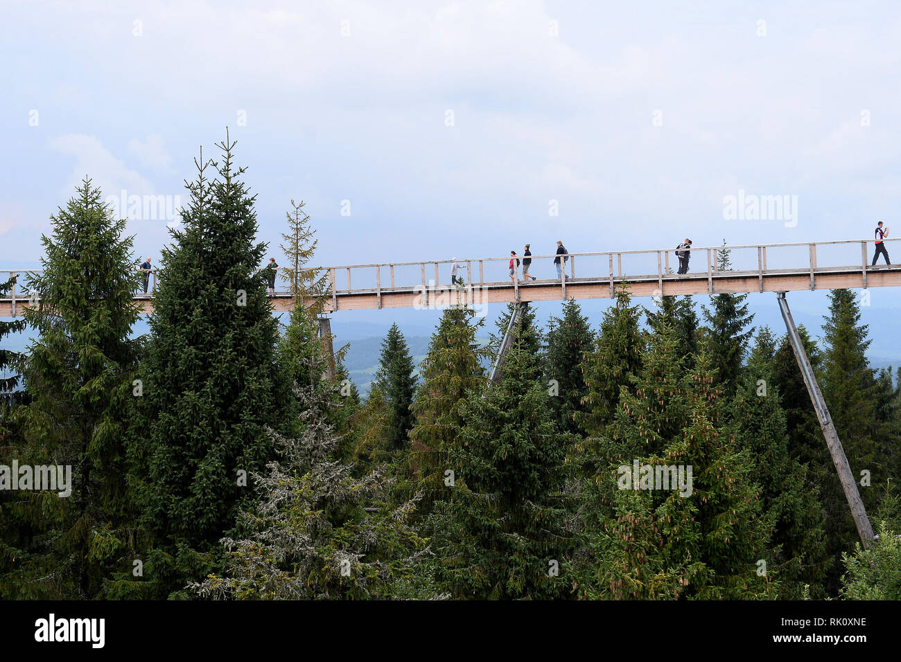 walk through the crowns of trees - Slovakia, Zdiar - Bachledka SKI ...