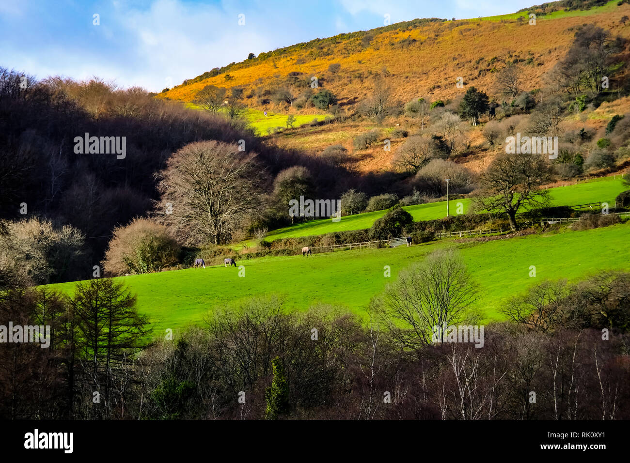 Nature and landscapes in Wales Stock Photo - Alamy