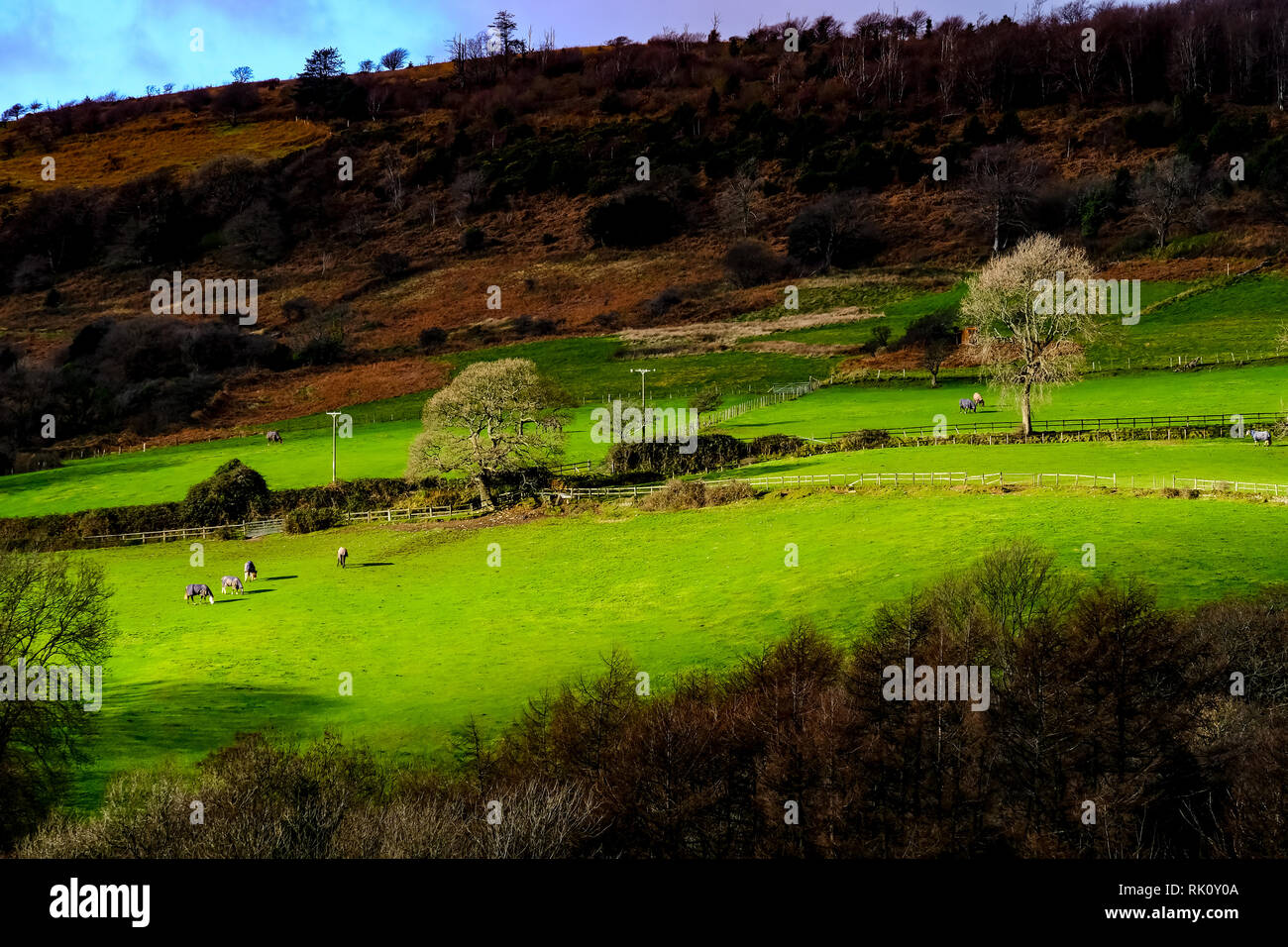 Nature and landscapes in Wales Stock Photo - Alamy