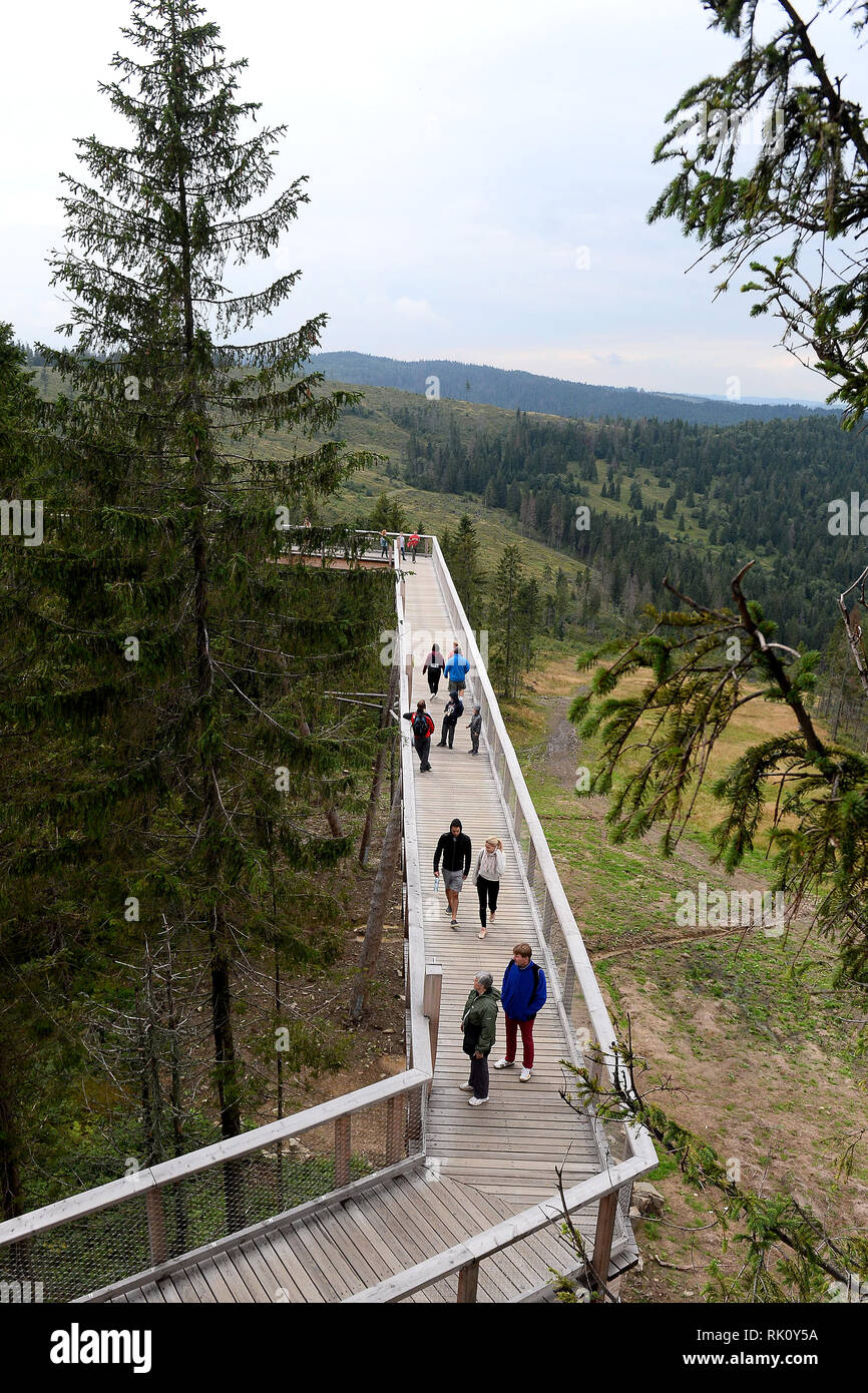 walk through the crowns of trees - Slovakia, Zdiar - Bachledka SKI ...