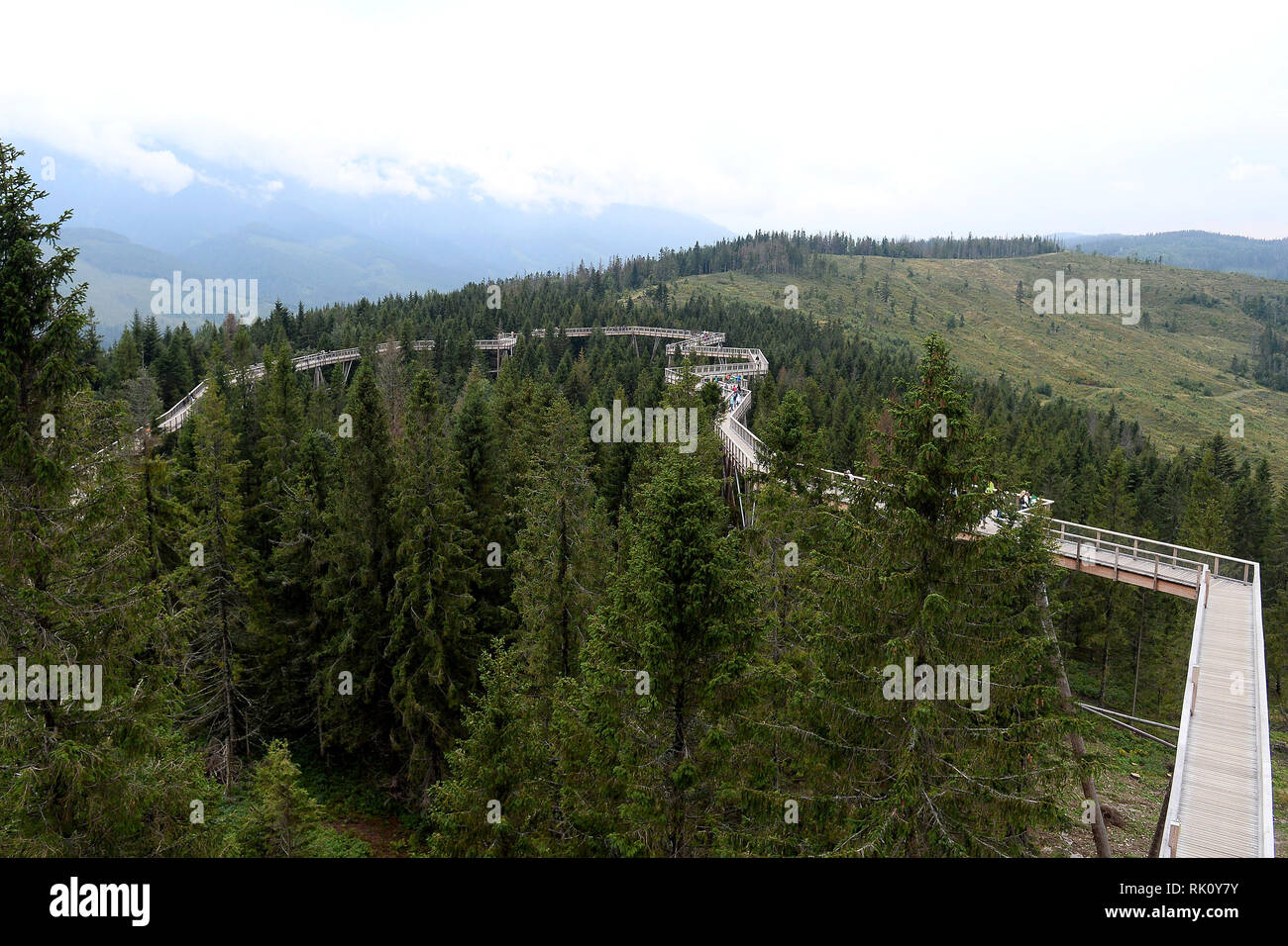 walk through the crowns of trees - Slovakia, Zdiar - Bachledka SKI ...