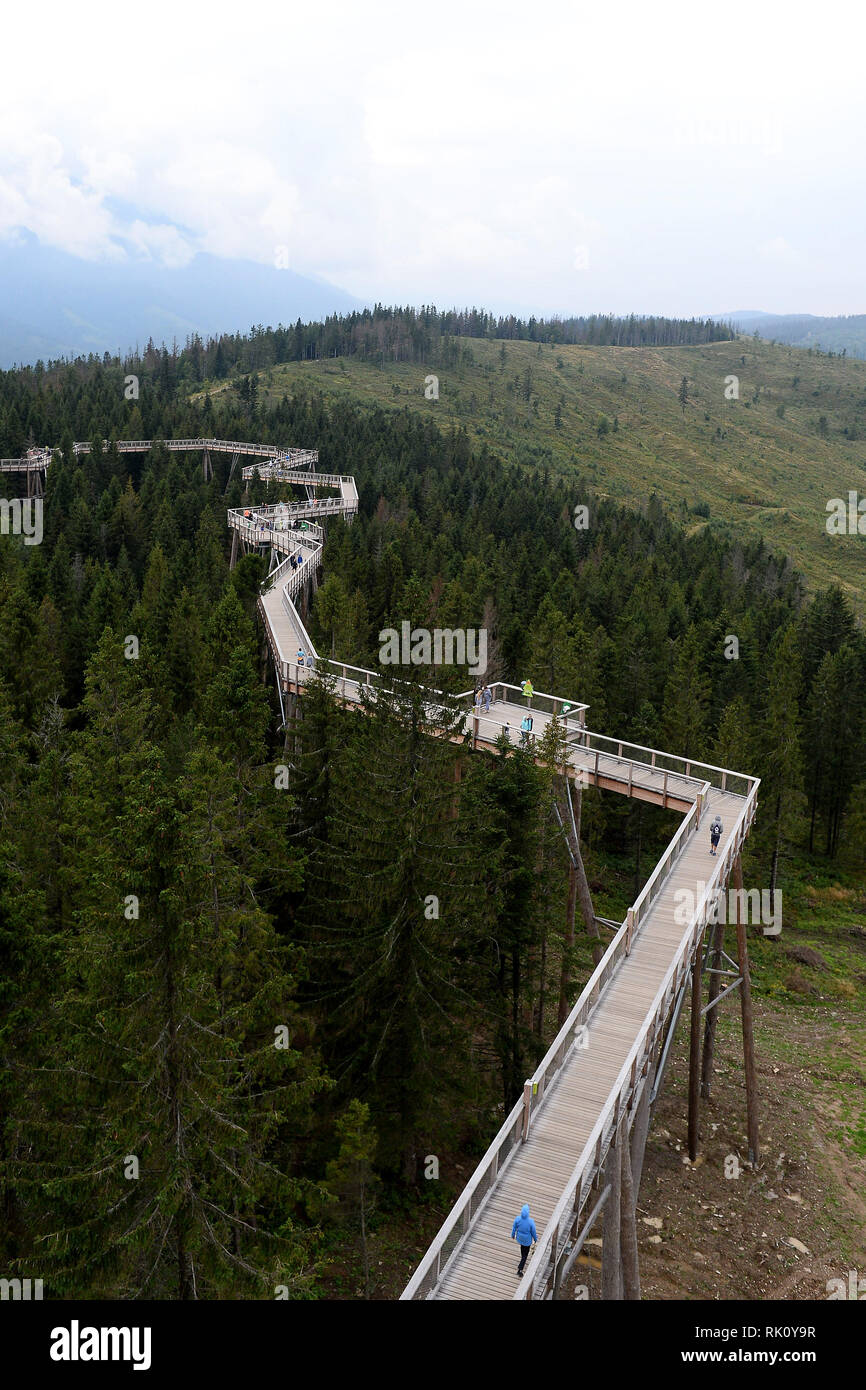 walk through the crowns of trees - Slovakia, Zdiar - Bachledka SKI ...