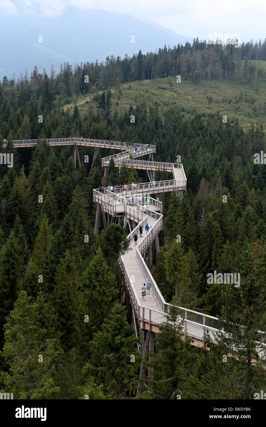 walk through the crowns of trees - Slovakia, Zdiar - Bachledka SKI ...