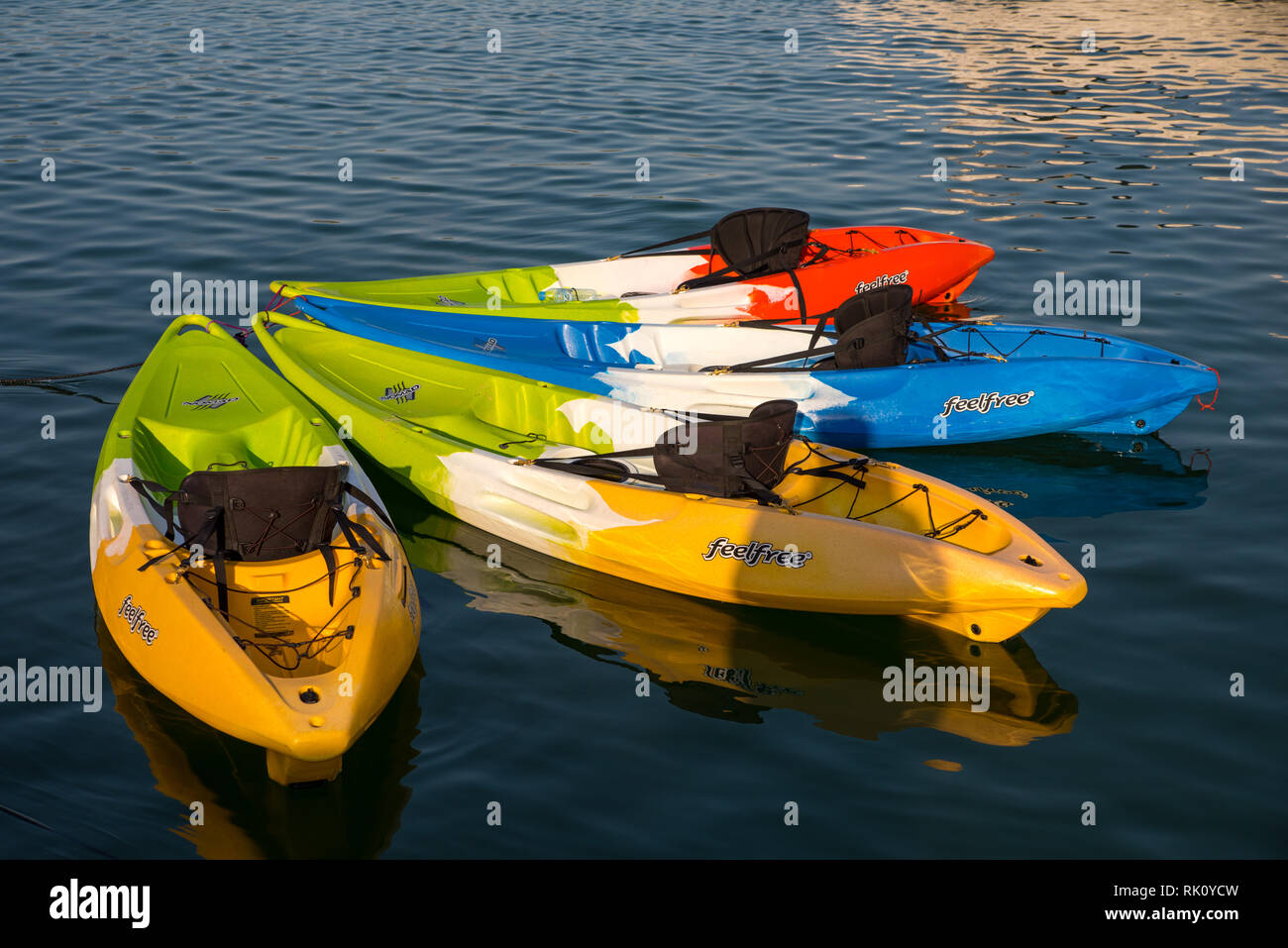 four kayaks tied togather like a leaf at Eastern Mangrove, Abu Dhabi ...
