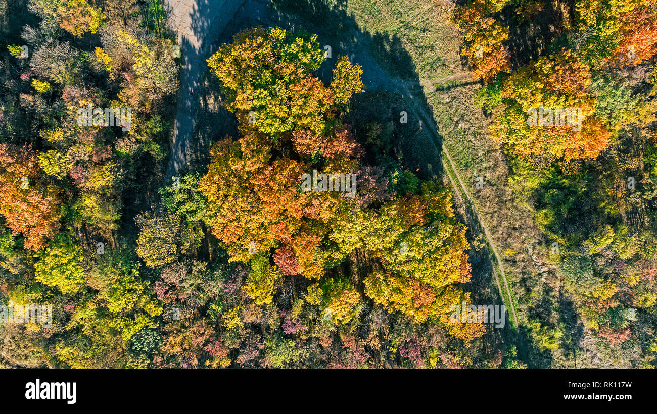 Beautiful orange and red autumn forest, many trees on the orange hills ...