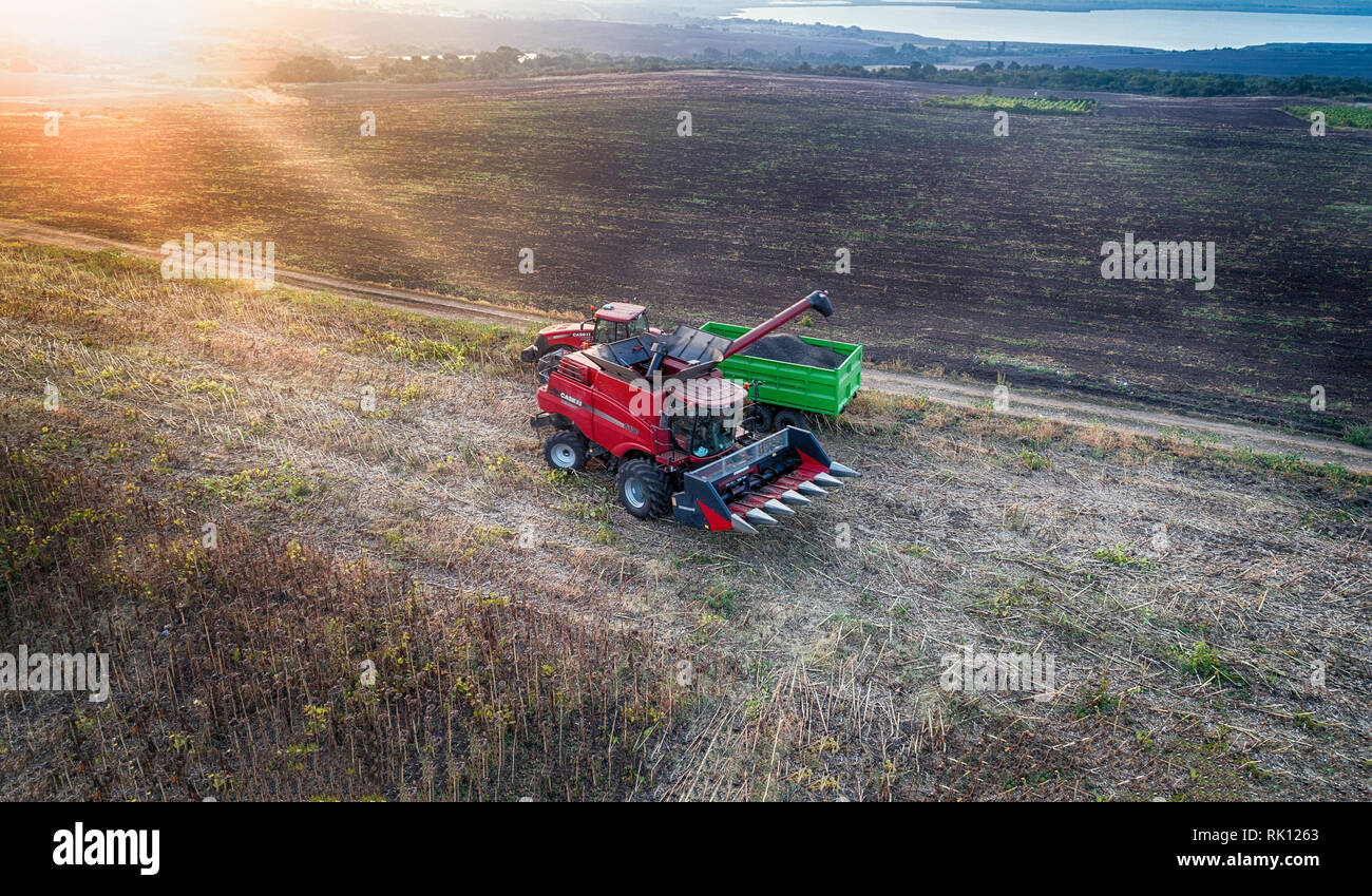 Aerial view on the combine working on the large sunflowers field Stock ...