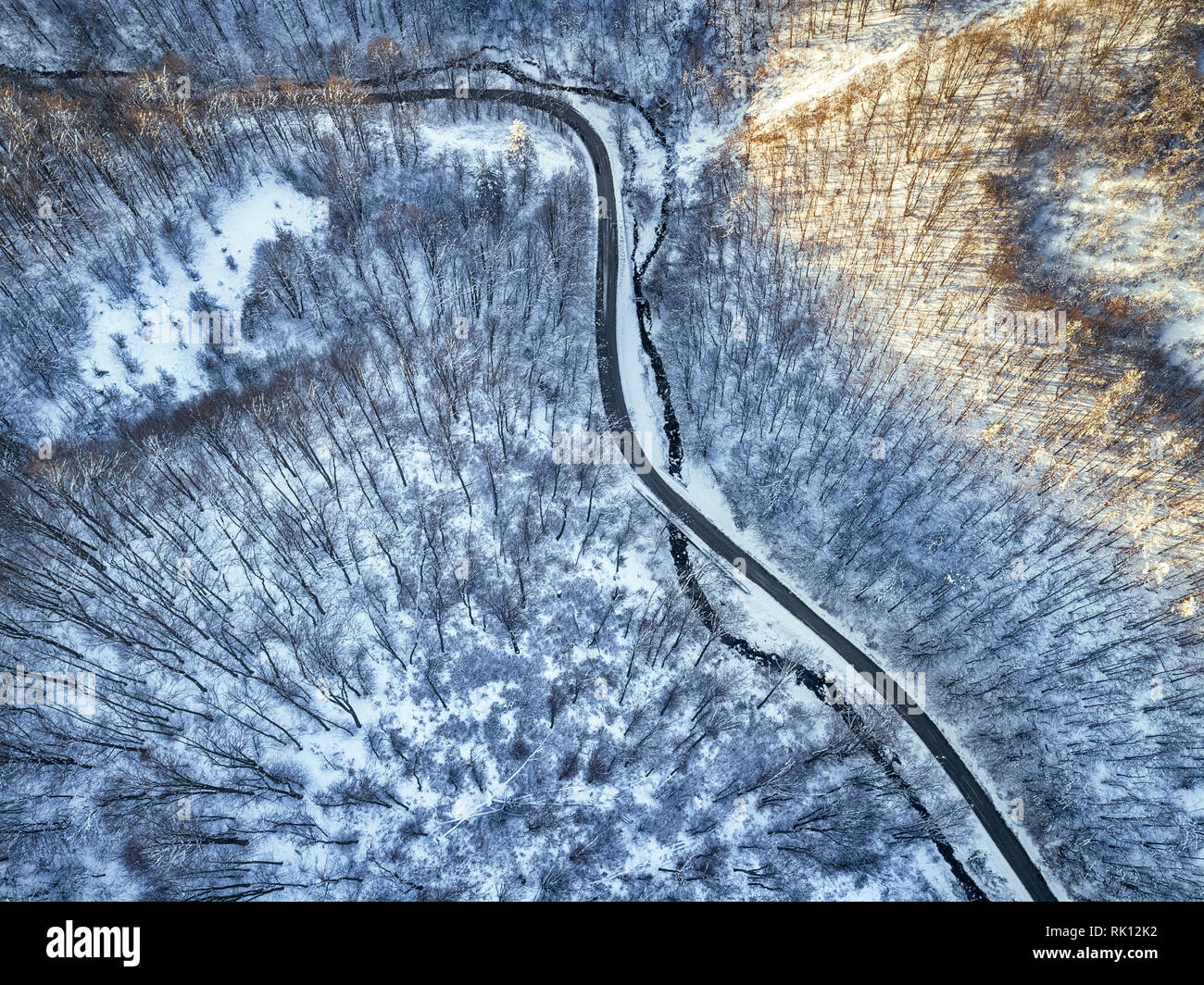 Cold winter morning in mountain forest with snow covered fir trees ...