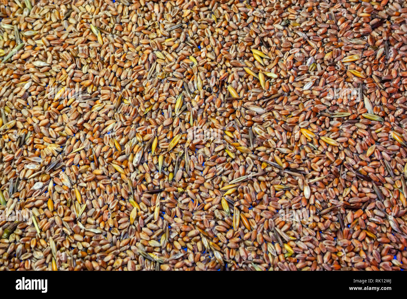 Agriculture texture hi-res stock photography and images - Alamy