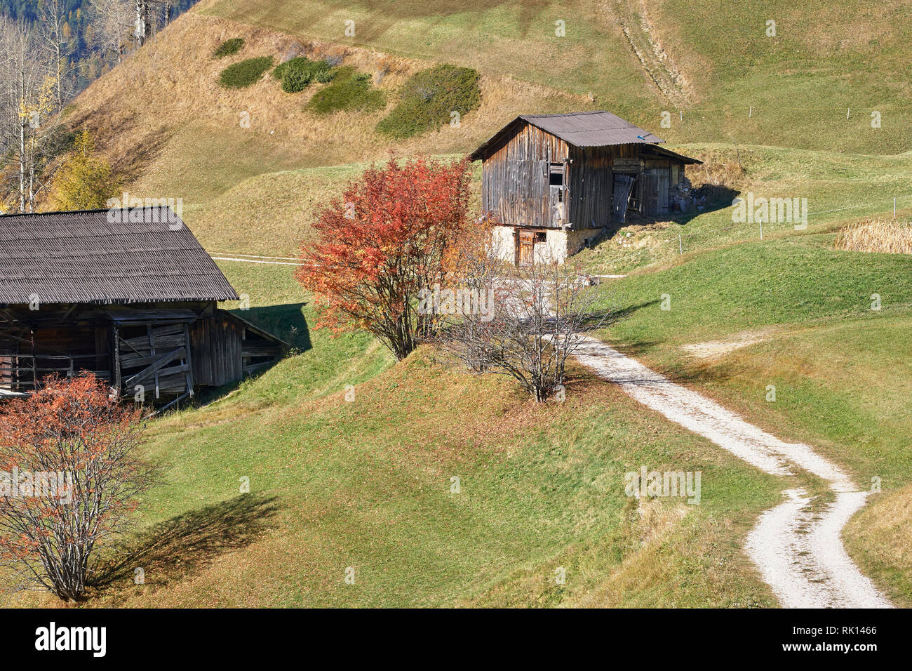 Old barns and track through meadows, near Badia Abtei, Dolomites, Alta ...