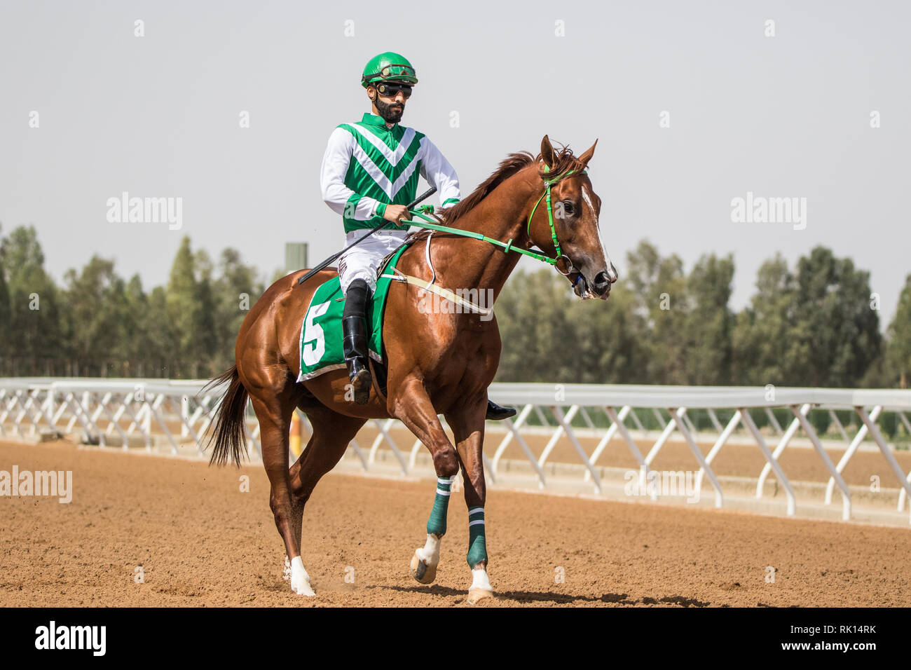 Horse racing at King Khalid Racetrack, Taif, Saudi Arabia. 23/06/2018 ...