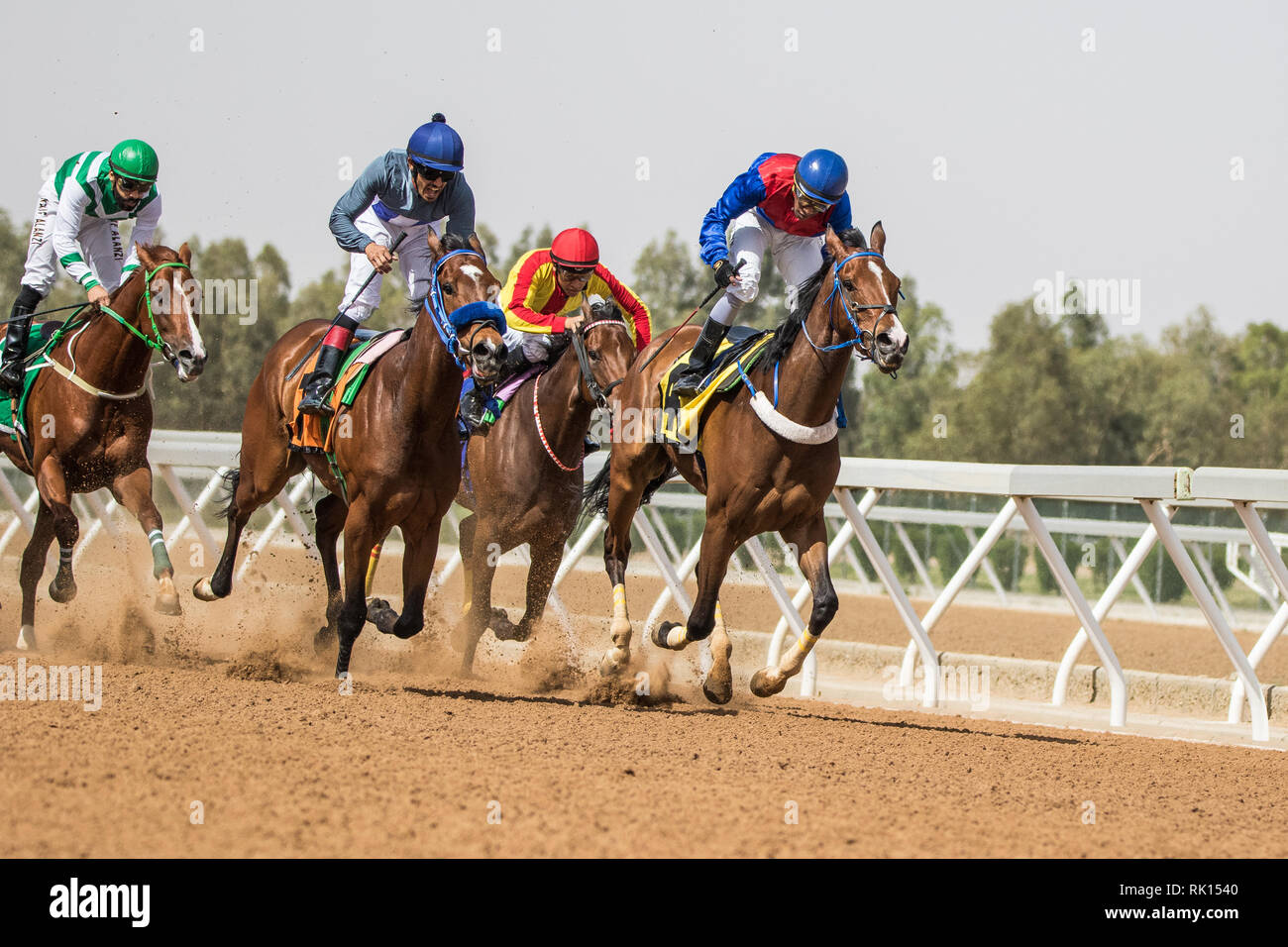 Horse racing at King Khalid Racetrack, Taif, Saudi Arabia. 23/06/2018 ...