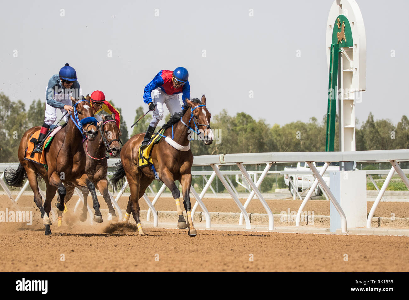 Horse racing at King Khalid Racetrack, Taif, Saudi Arabia. 23/06/2018 Stock Photo - Alamy