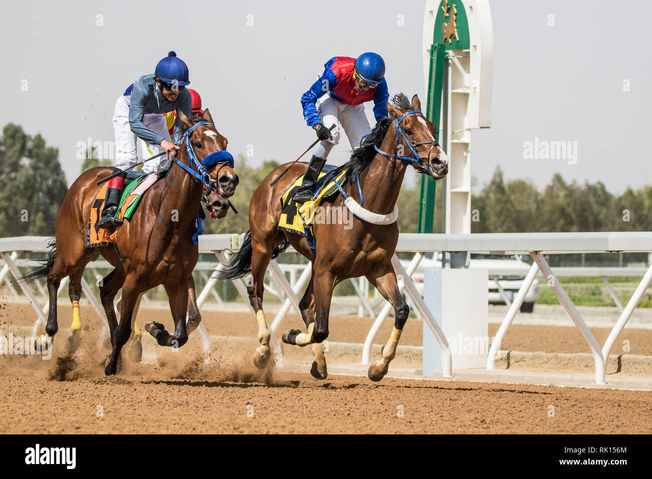 Horse racing at King Khalid Racetrack, Taif, Saudi Arabia. 23/06/2018 ...