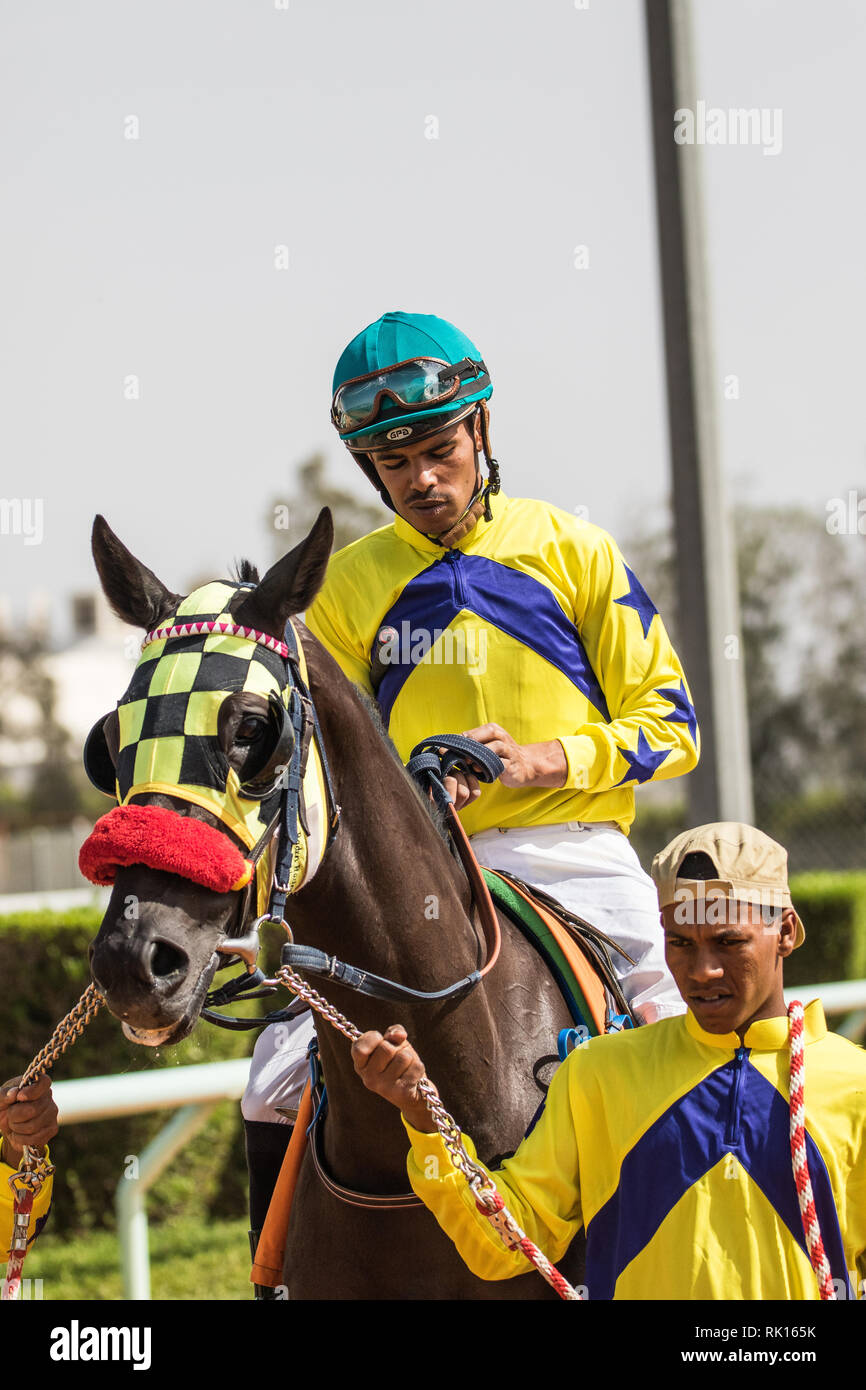 Horse racing at King Khalid Racetrack, Taif, Saudi Arabia. 23/06/2018 ...