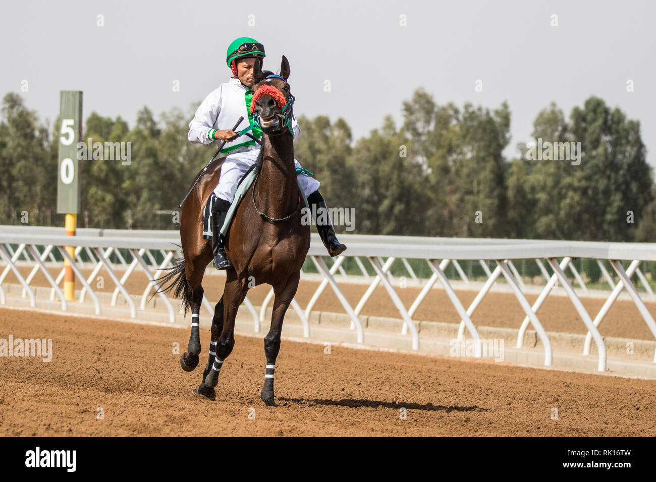 Horse racing at King Khalid Racetrack, Taif, Saudi Arabia. 23/06/2018 ...