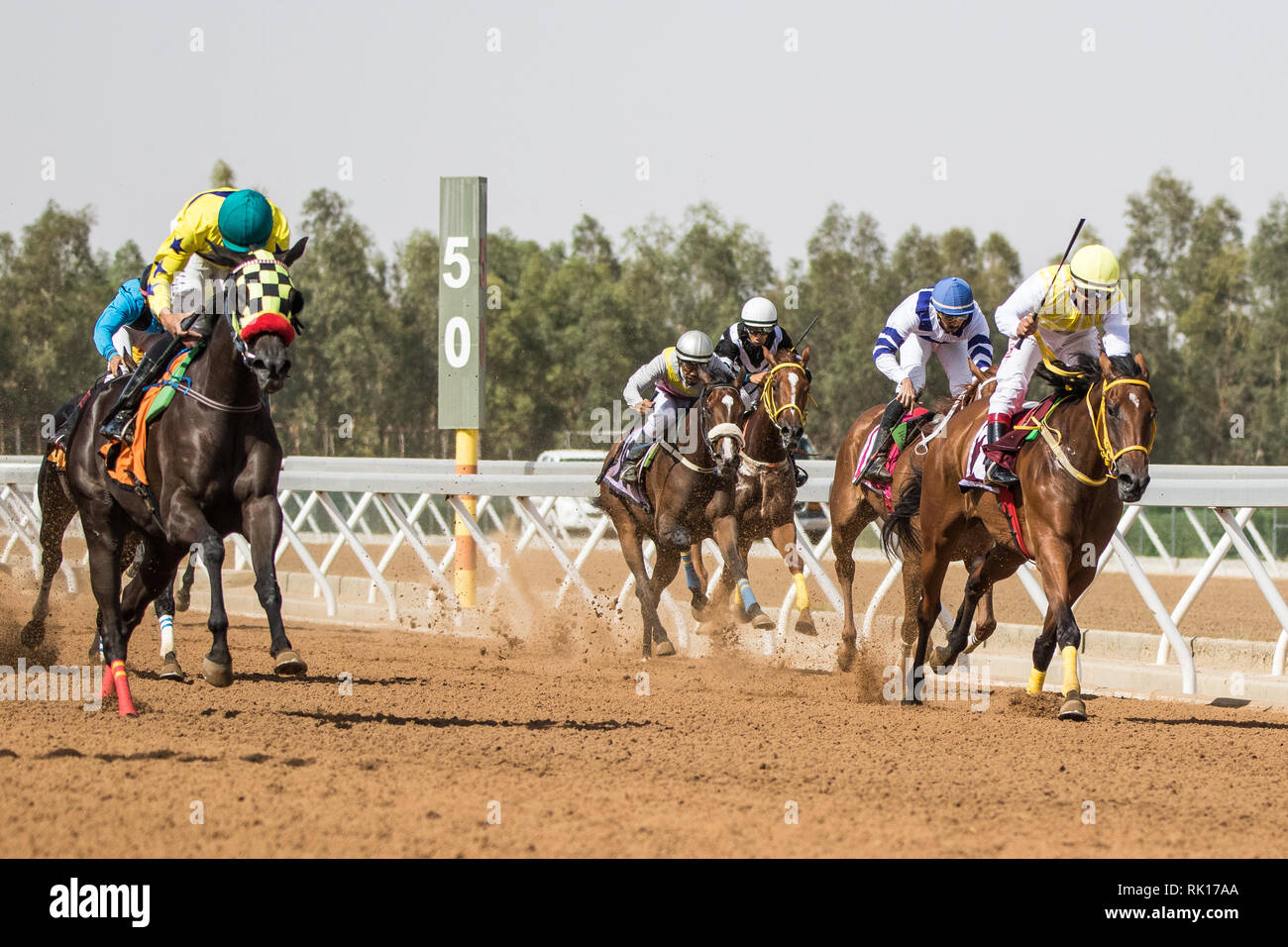 Horse racing at King Khalid Racetrack, Taif, Saudi Arabia. 23/06/2018 ...
