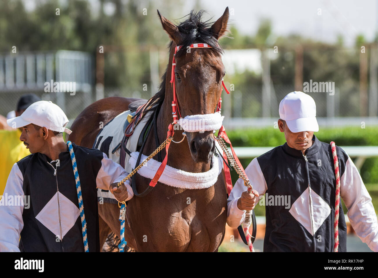 Horse racing at King Khalid Racetrack, Taif, Saudi Arabia. 23/06/2018 ...