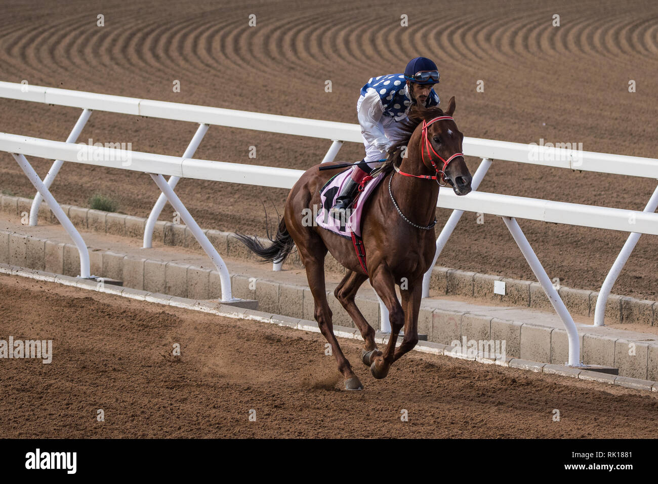 Horse racing at King Khalid Racetrack, Taif, Saudi Arabia. 23/06/2018 ...