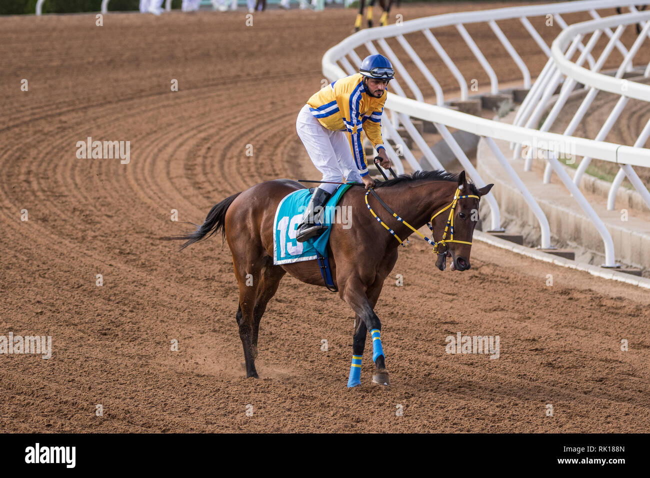 Horse racing at King Khalid Racetrack, Taif, Saudi Arabia. 23/06/2018 ...