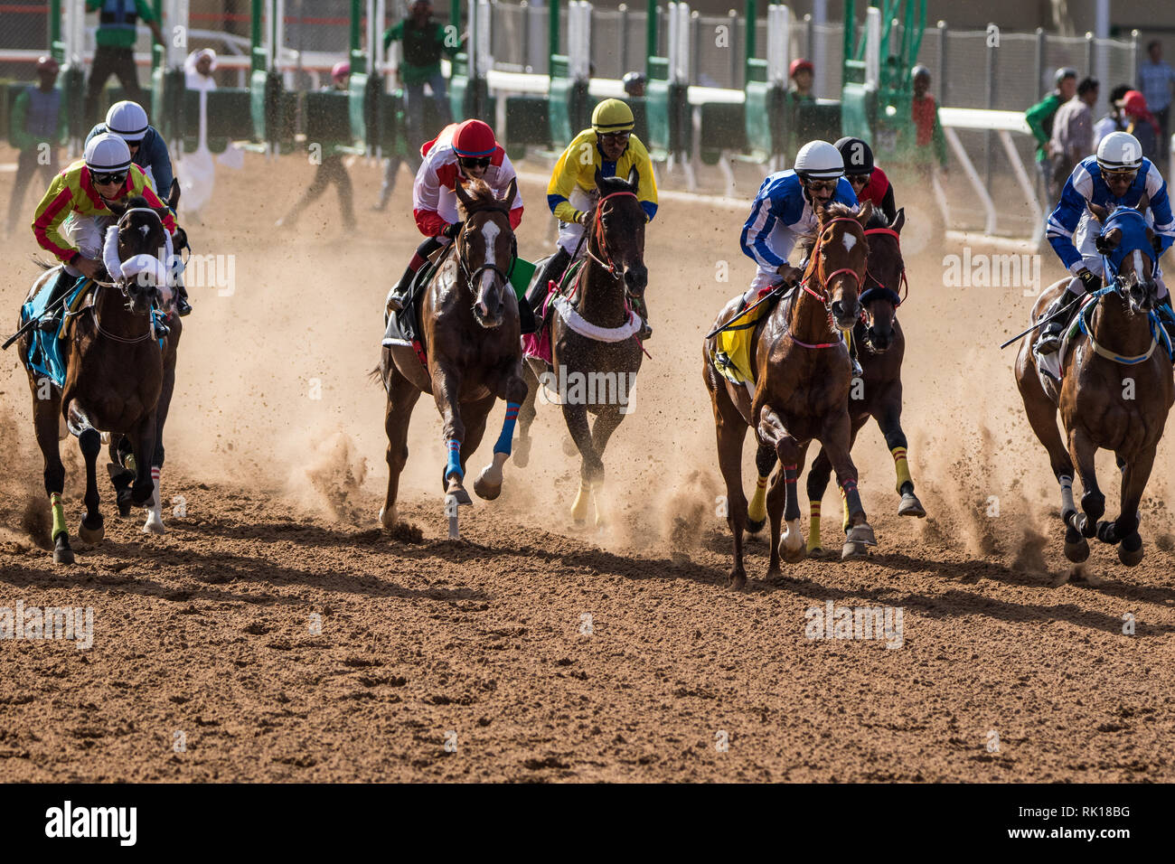 Horse racing at King Khalid Racetrack, Taif, Saudi Arabia. 23/06/2018 ...