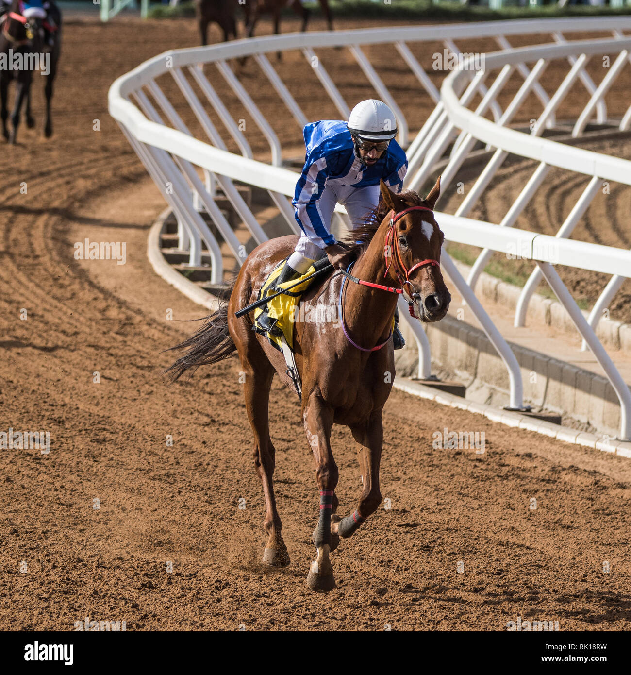 Horse racing at King Khalid Racetrack, Taif, Saudi Arabia. 23/06/2018 ...