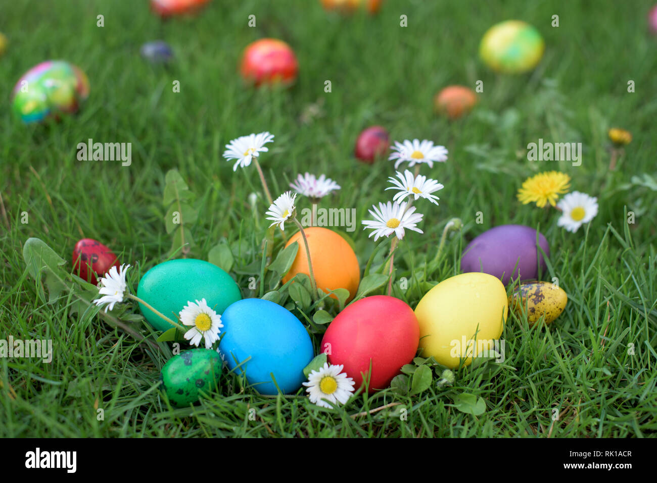 Easter eggs hidden in grass hi-res stock photography and images - Alamy