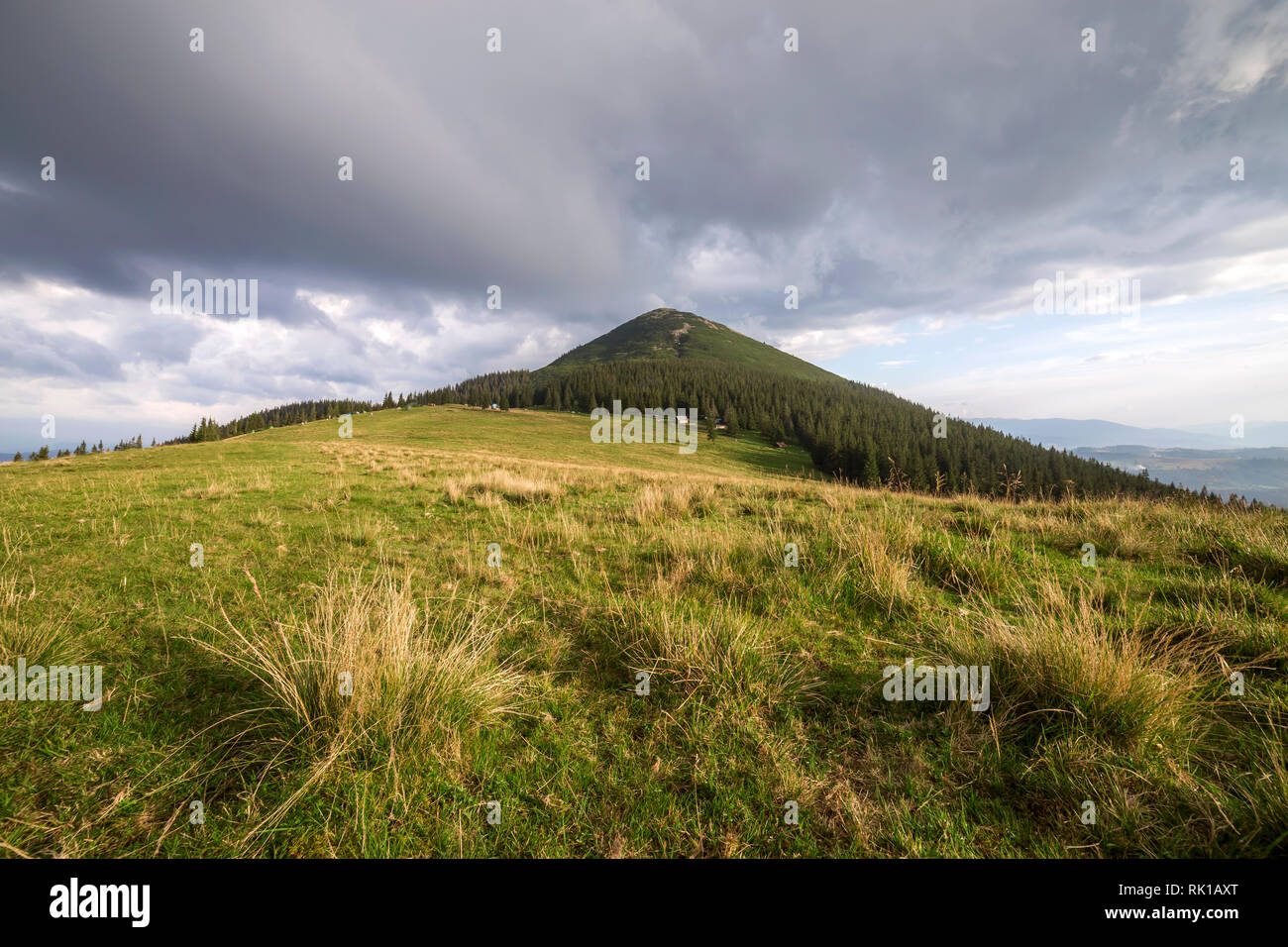 Panoramic view of green grassy valley, pine trees and rural small ...