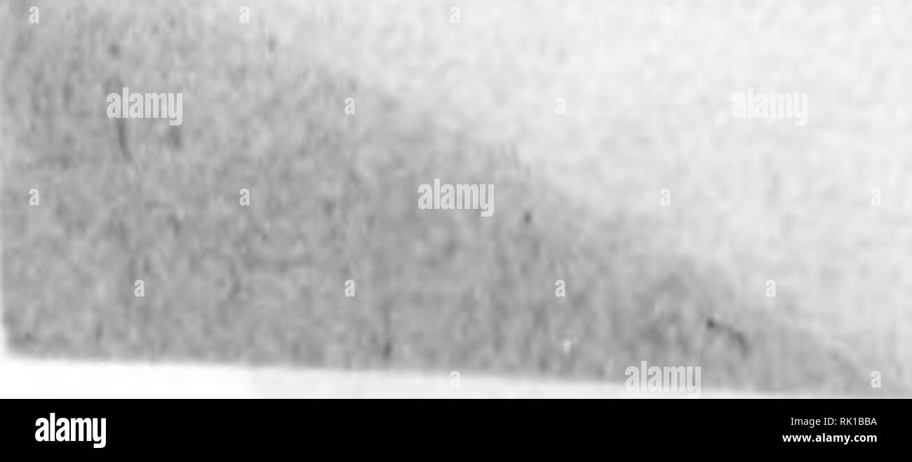 Slbd hi-res stock photography and images - Alamy