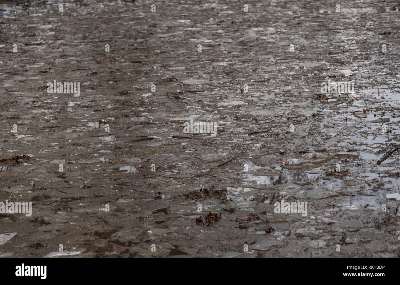 Ice blocks melted on a dirty river Stock Photo - Alamy