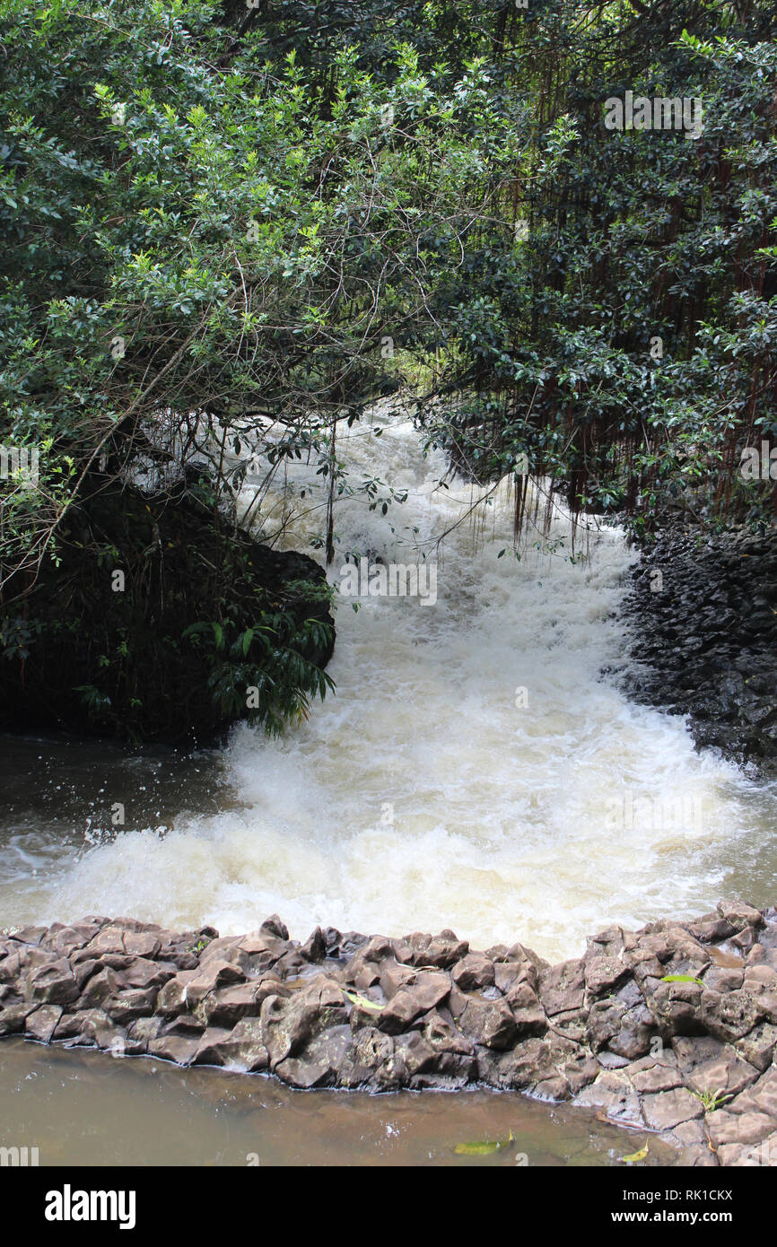 A rushing waterfall on the road to Hana, Twin Falls, Haiku, Maui Stock ...