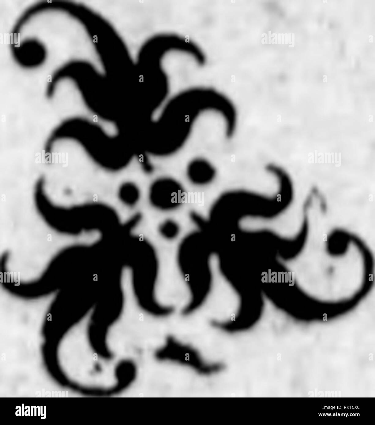 Mufle hi-res stock photography and images - Alamy