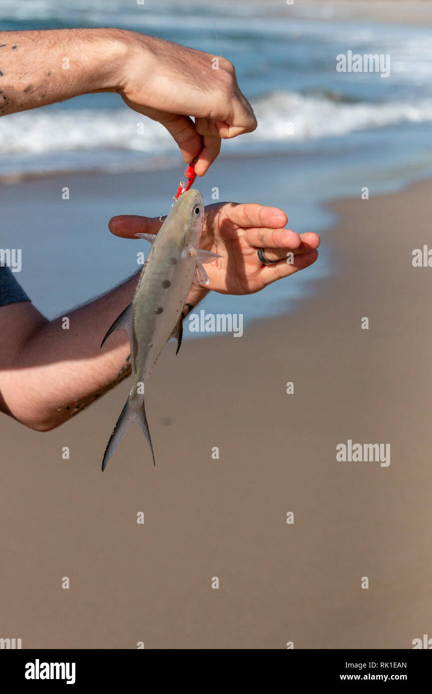 Tail hooks hi-res stock photography and images - Alamy