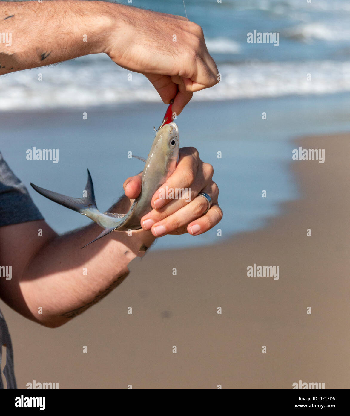 Tail hooks hi-res stock photography and images - Alamy